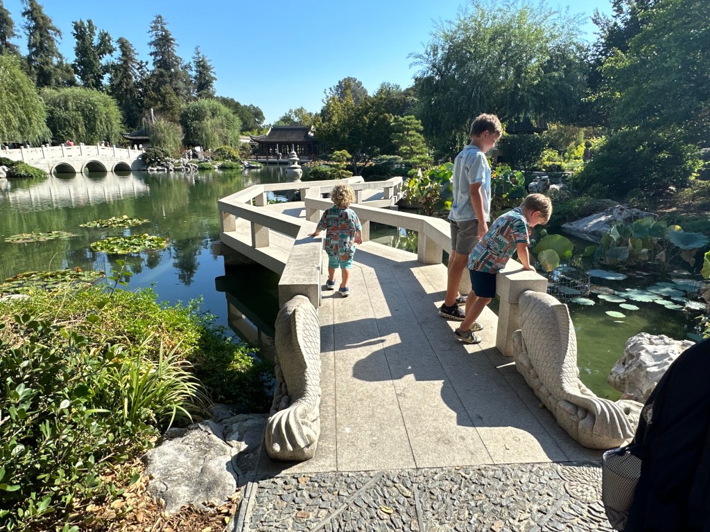 Huntington Library Free Admission Tips You Need to Know – Seven ...